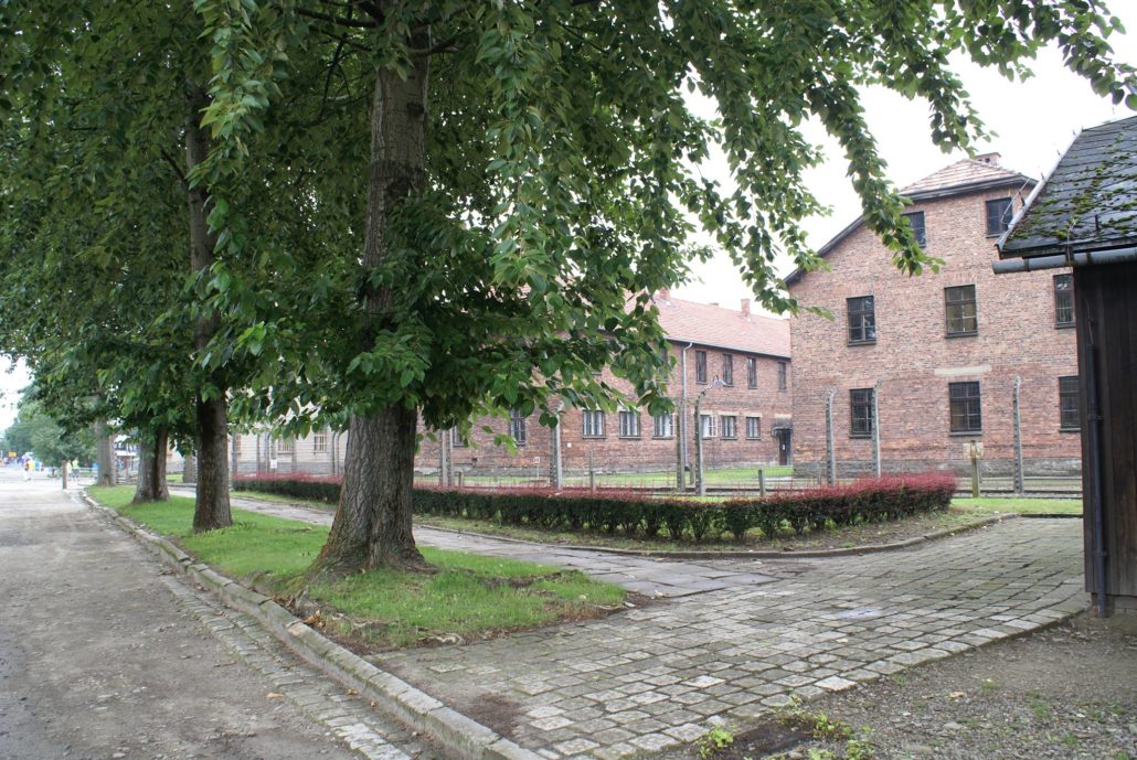 A life that began in a death camp - Communications Unlimited